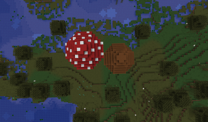 Boletus and Toadstool Minecraft Map