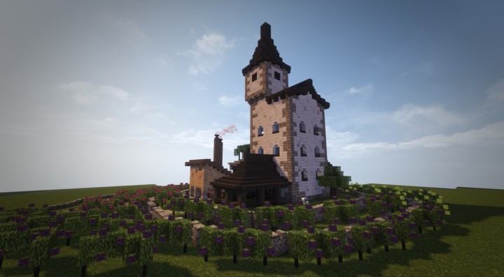 medieval Vineyard / Vine farm Minecraft Map