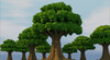 God Tree Minecraft Map