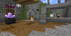 Minecrafting Minecraft Server