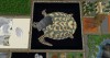 World Turtle Minecraft Map