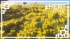 Wheat Plains Minecraft Texture Pack
