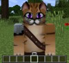 Re:Skin Minecraft Mod